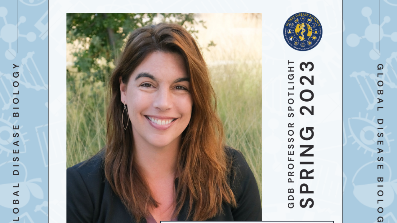 Professor Spotlight, Spring 2023: Woutrina Smith | Global Disease Biology